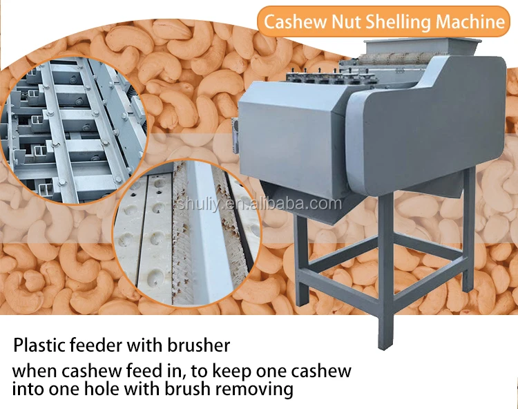 Shuliy Cashew Nuts Processing Machine - Efficient & Durable