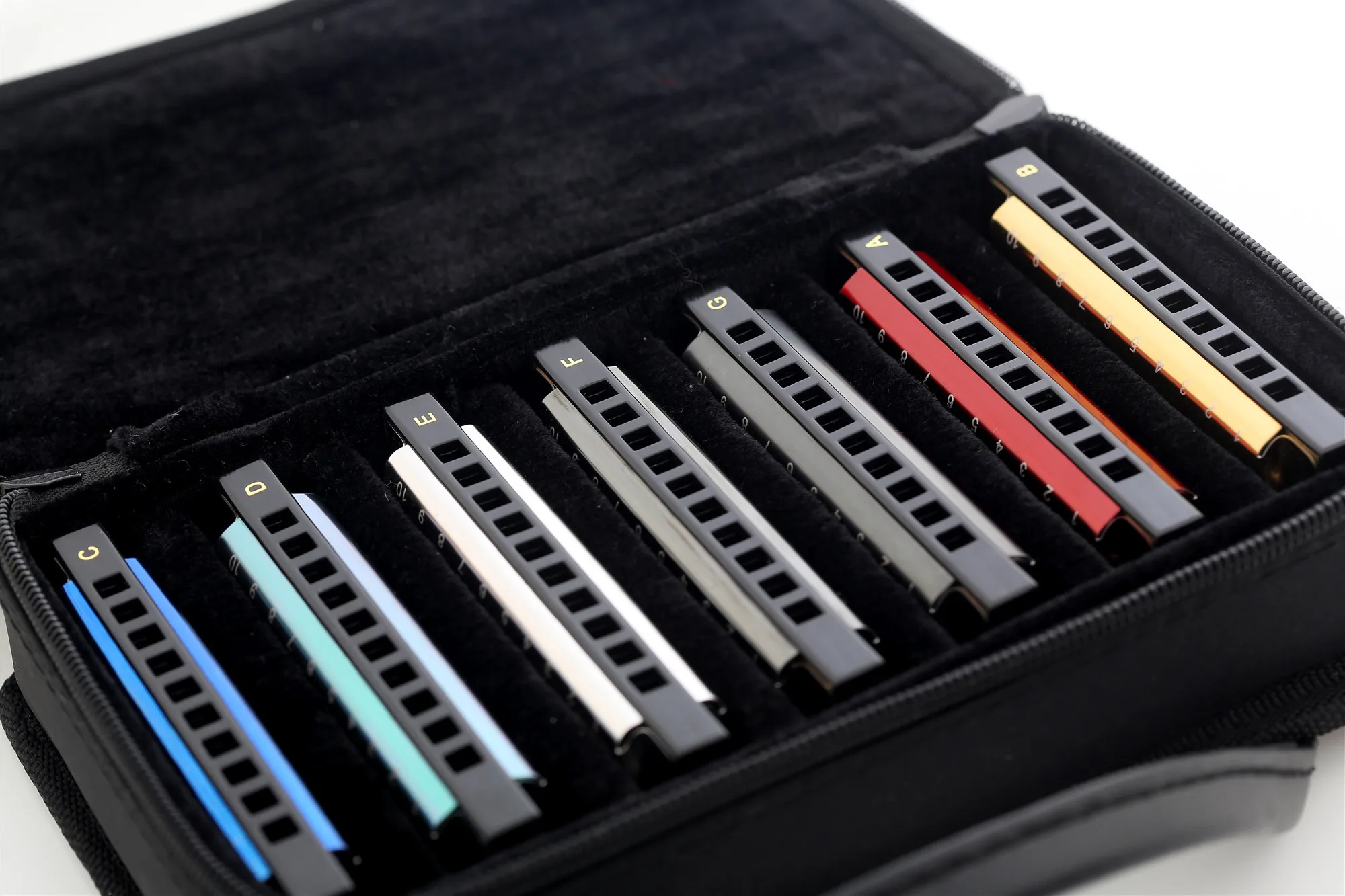 East Top 10 Hole Blues Harmonica Set for Beginners