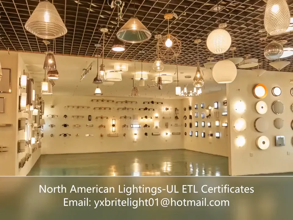 Decorative Surface Mounted Brushed Nickel White Glass 10inch Bedroom ...