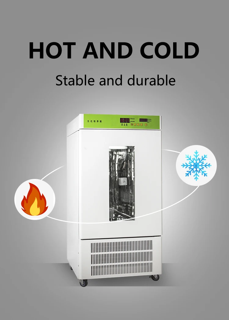 Thermostatic Lab Cooling Incubator - Precision & Reliability