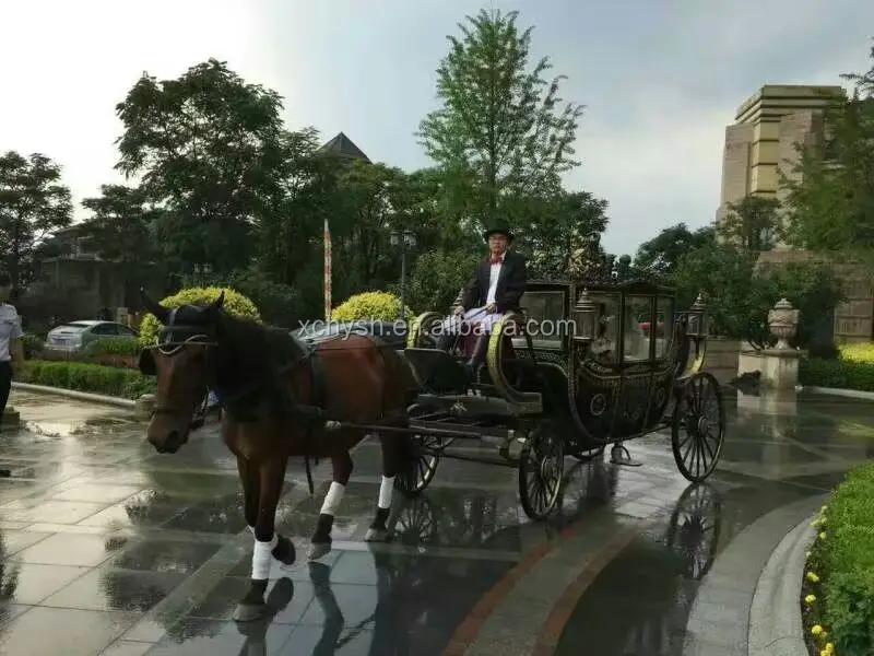 Prom Carriage - Elegant Limousine & Victoria Limusina