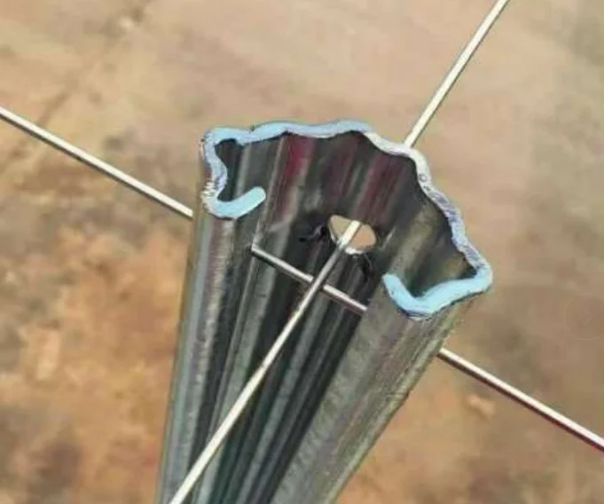 Steel Grape Posts - Durable and Easy Trellising Solutions