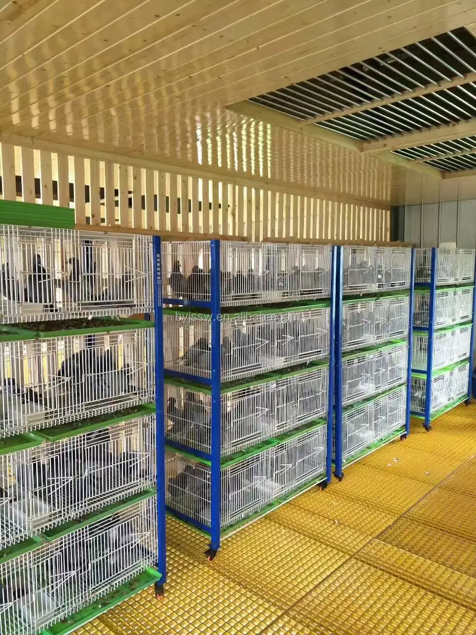 Hot-dippegalvanized Steel Racing Pigeon Caged - Buy Hot-dippegalvanized ...