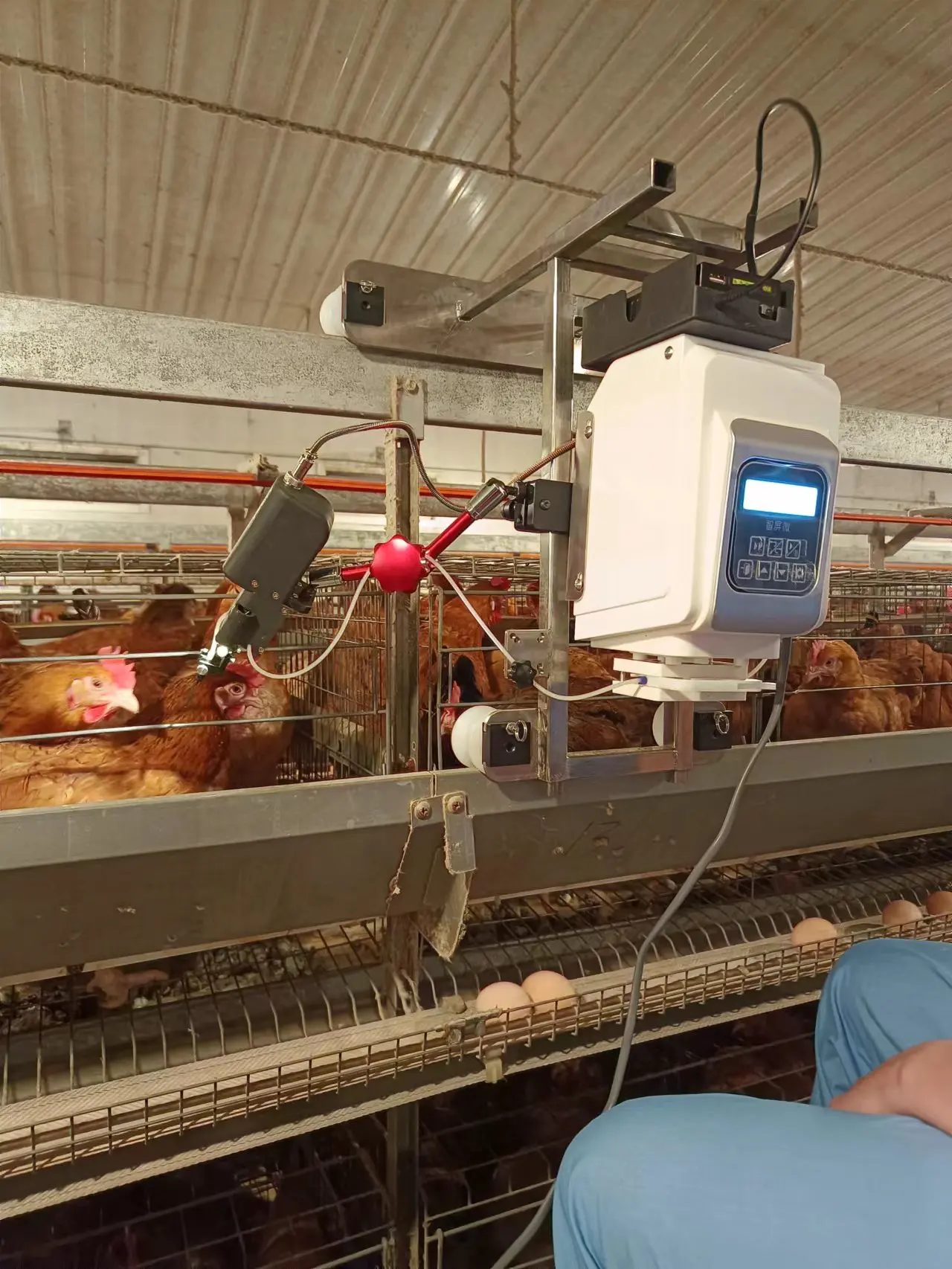 Chicken AI GUN - Efficient Poultry Breeding Equipment