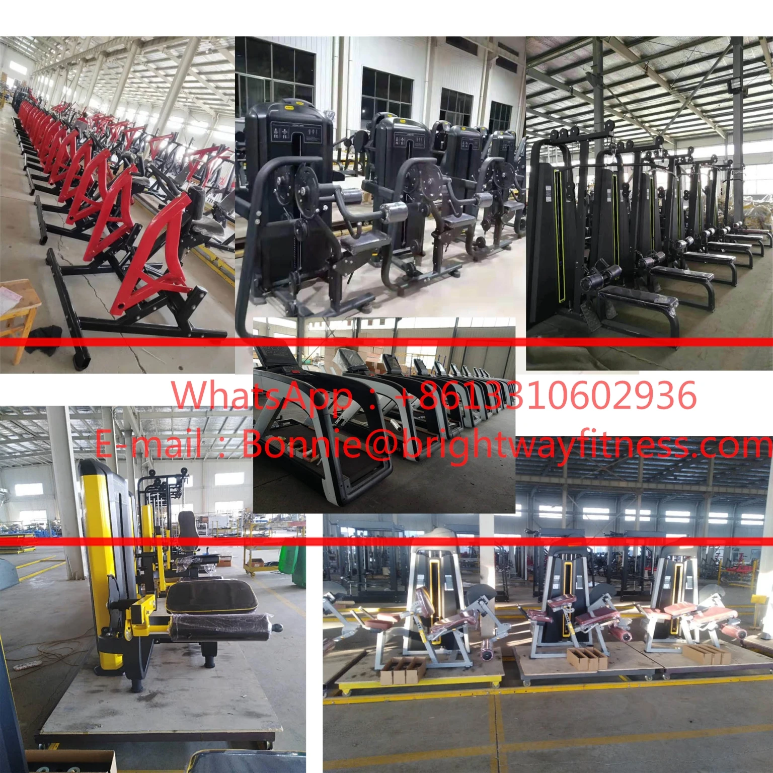 Limitless Free Trainer - Ultimate Commercial Fitness Equipment