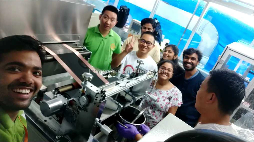 Coin Cell Assembly Line - Professional Lithium Ion Support