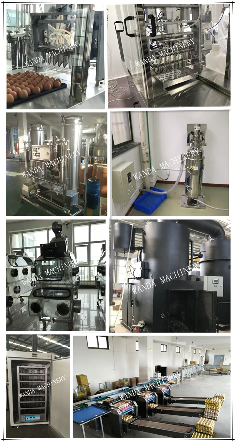 Embrio Telur Ayam - Automatic Chicken Egg Embryo Harvesting Machine