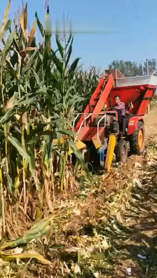 Factory Hot Sales Tractor Mounted 2 Row Small Ear Corn/sweet Corn Cob ...