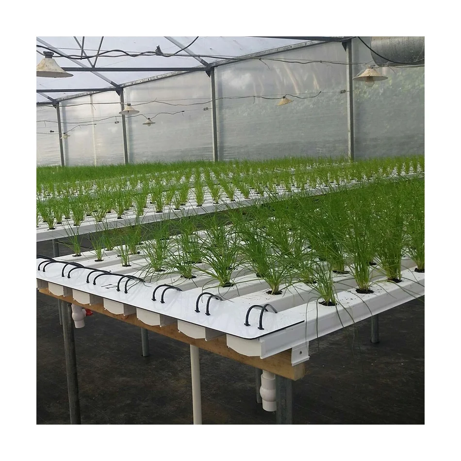 Hydroponic Nft System Vertical Hydroponic Growing System Pvc Pipe For ...