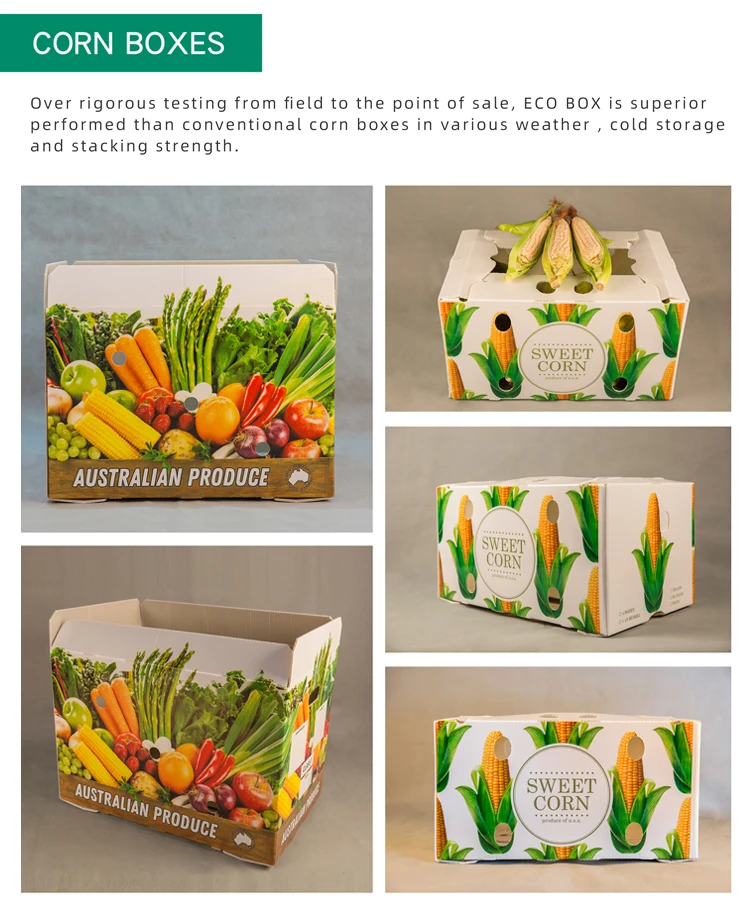 PE Box Oyster - Corrugated Plastic Box for Seafood Packaging