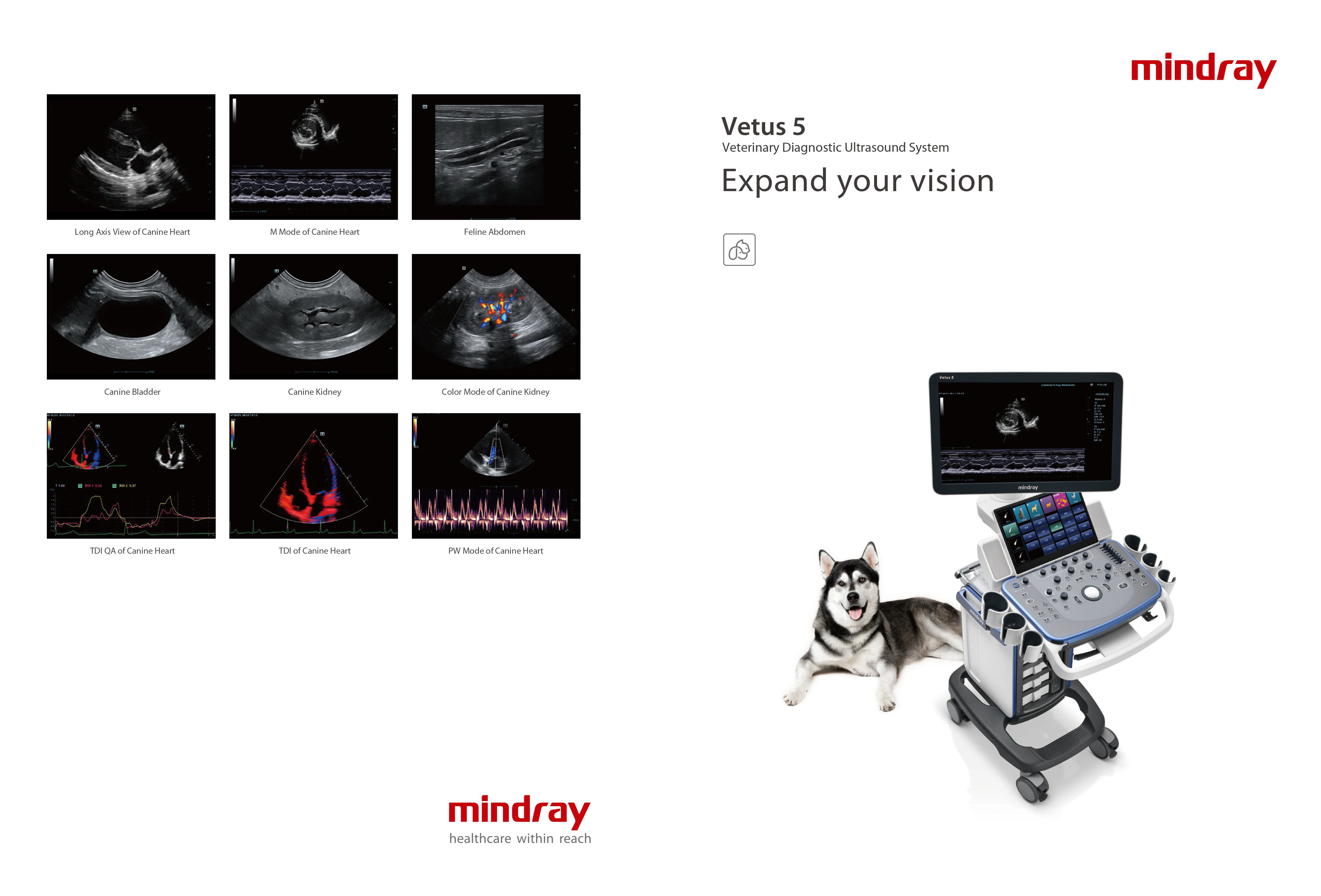 Mindray Vetus 5 Veterinary Ultrasound Scanner for Animal Diagnosis