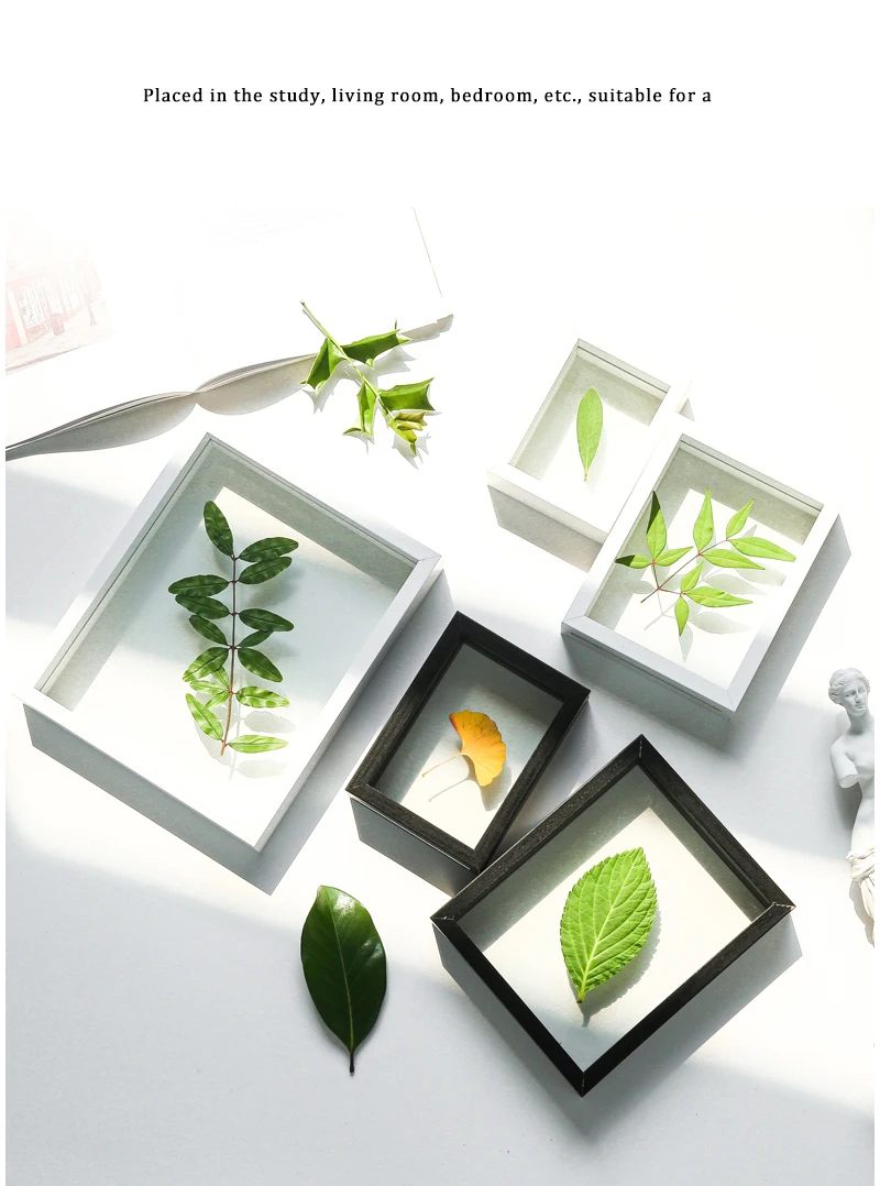 Double Sided Glass Frames - Stylish Floating Picture Displays