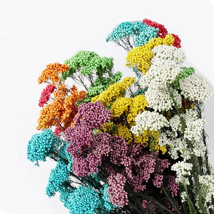 Natural Small Dried Preserved Millet Flower Rice Flowers Floral Decors ...