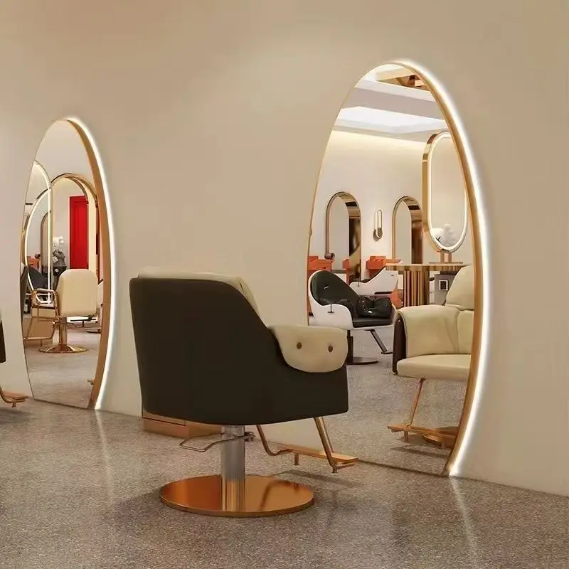 Salon Ellipse Large Stainless Steel / Aluminum Alloy Bright Led Lighted ...