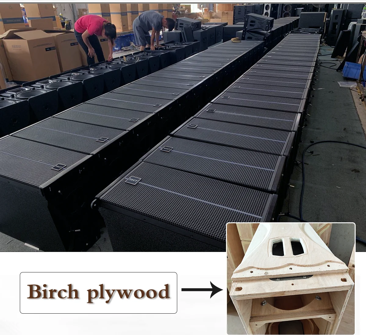 TACT PRO AUDIO Professional Mini Line Array System