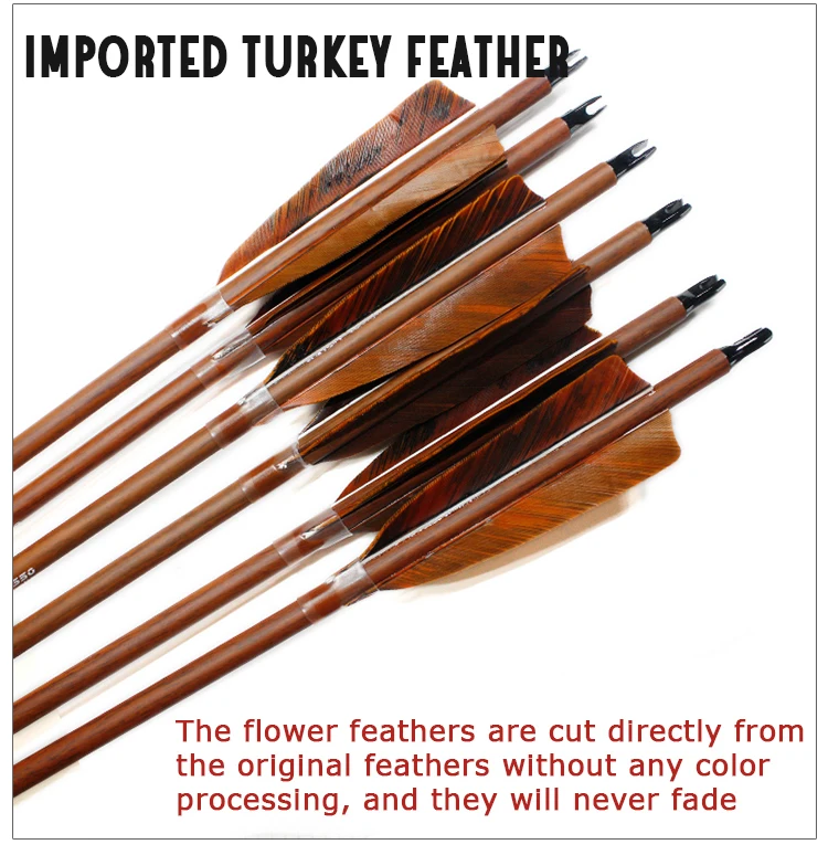 Carbon Arrows with Turkey Feathers - Ideal for Target Shooting