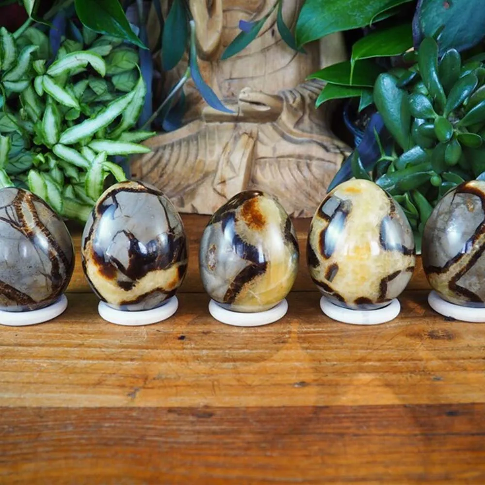 High Quality Natural Septarian Nodule Palm Septarium Egg Crystal ...
