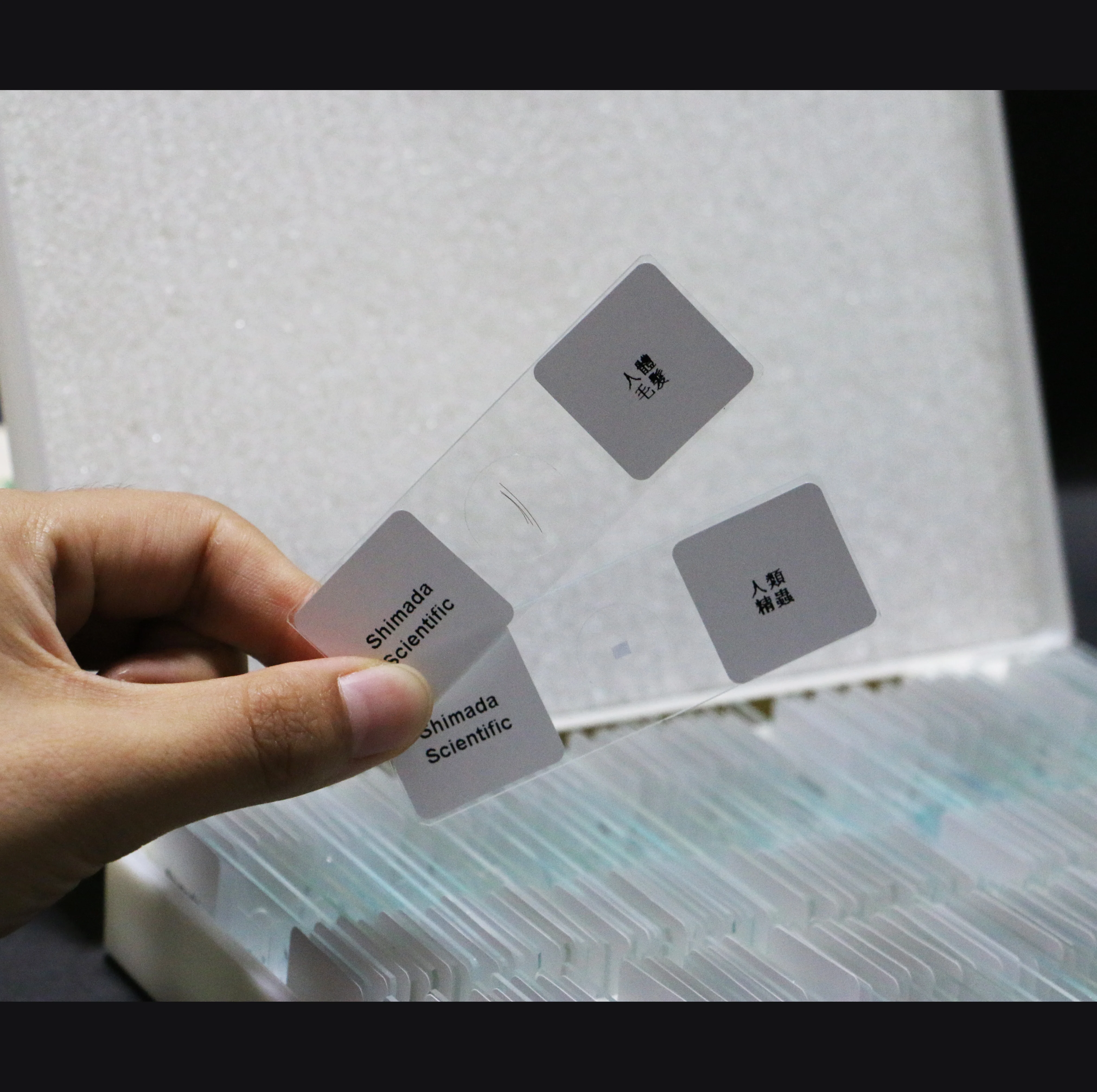 Medical Science Mammal Histology Slides Individual Microscope Prepared ...