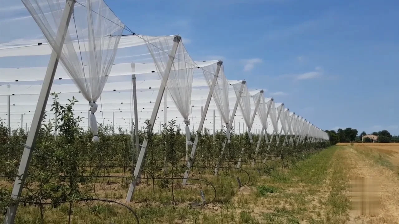 Anti Hail Nets For Apple Tree Agriculture Anti Hail Net Anti-hail Net ...