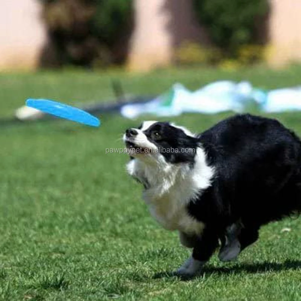 Tpr Interactive Flying Saucer Dog Toy 17.5cm - Oem Available