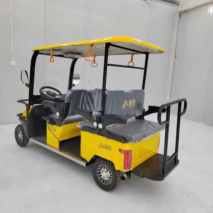 4 Wheel Electric Bike - Adult Electric Bicycle with Roof Top