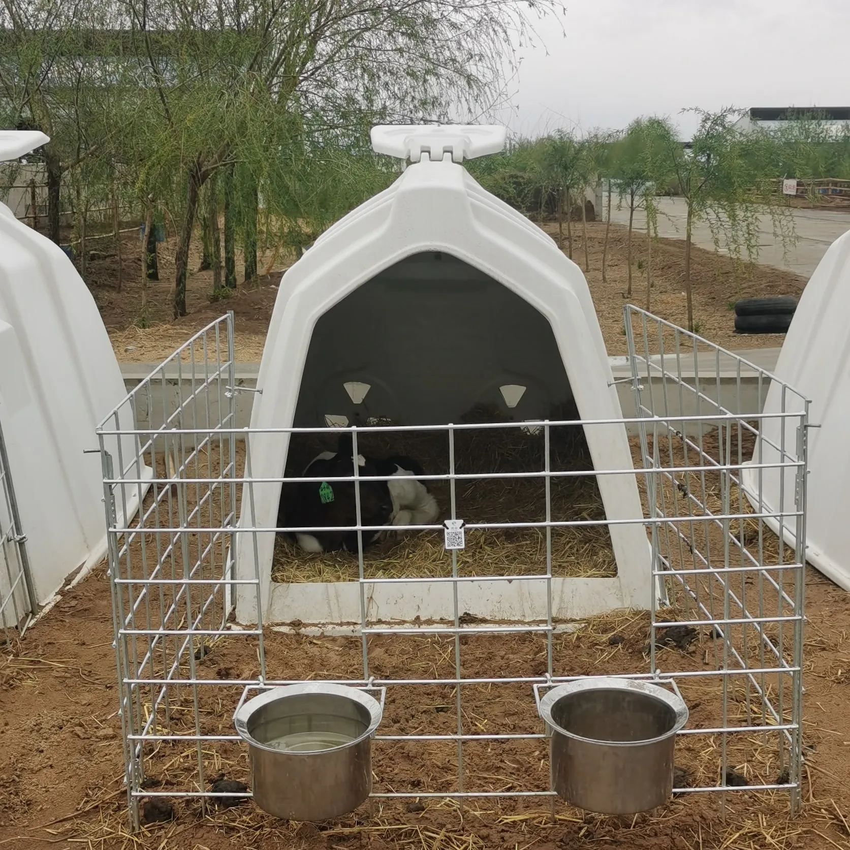 Livestock Cage Calf Hutch House - Buy Cheap Calf Hutch Calf Pen,House ...