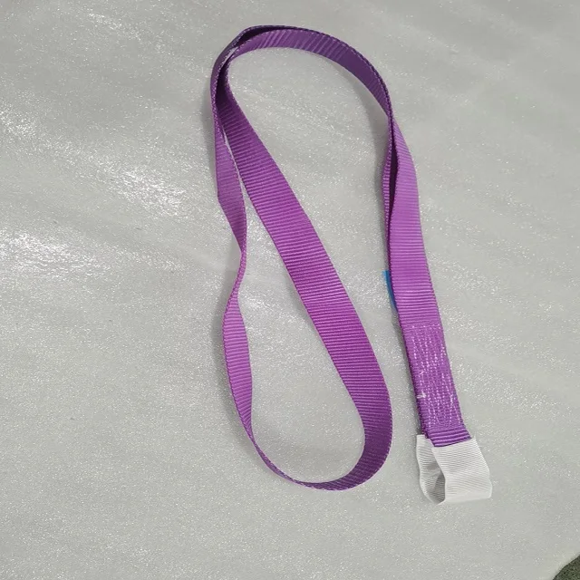 Factory Direct Supply Endless Webbing Sling Purple Polyester Lifting ...