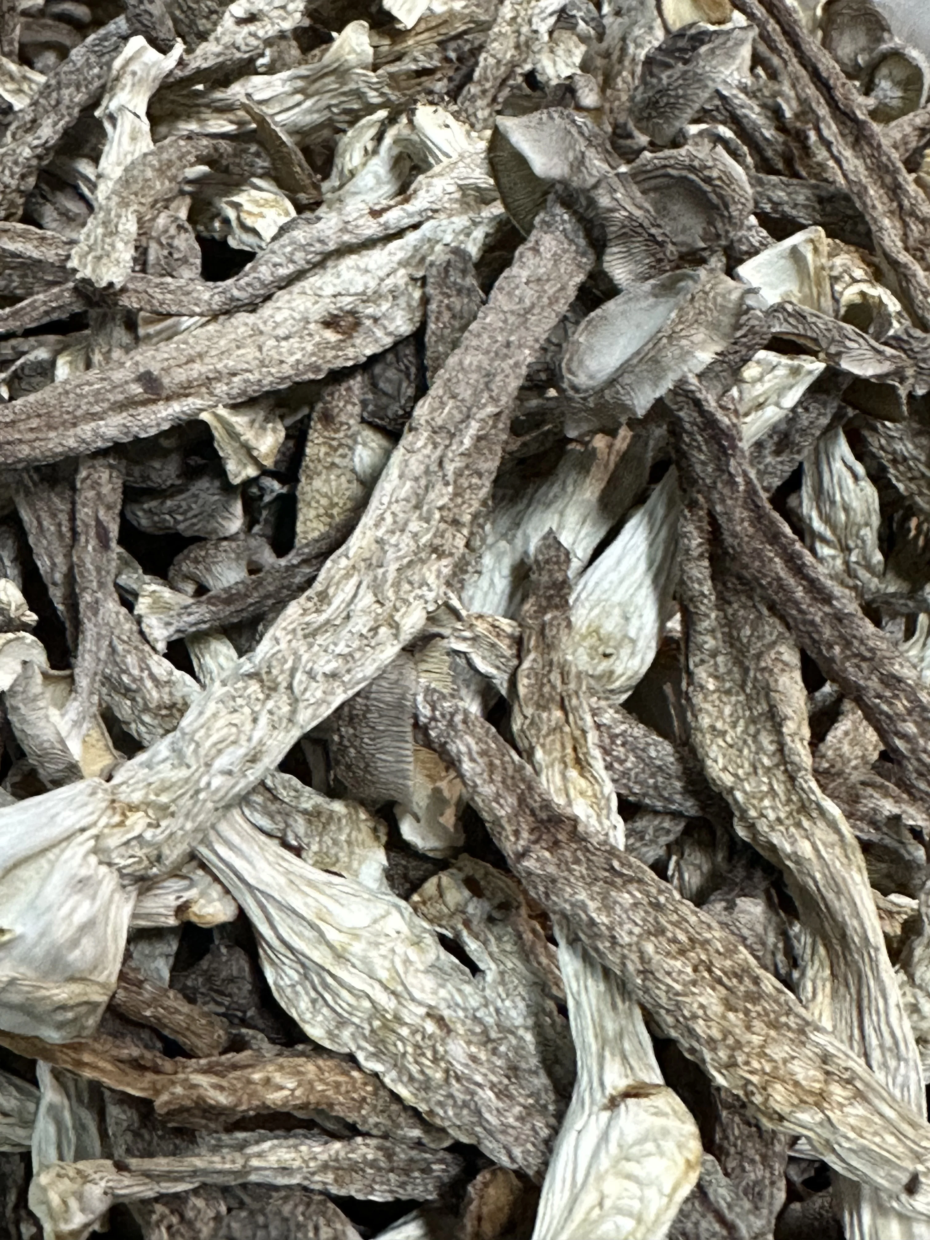 Wholesale Dried Natural Pilose Antler Mushroom Velvet Antler Mushroom ...