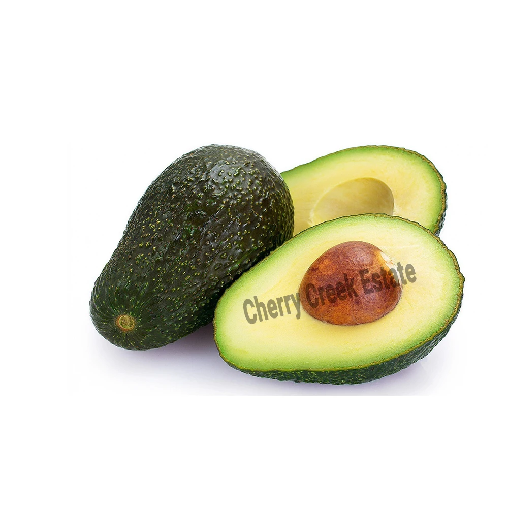 Australian Green Gems Premium Avocado Delights Creamy Fresh And ...