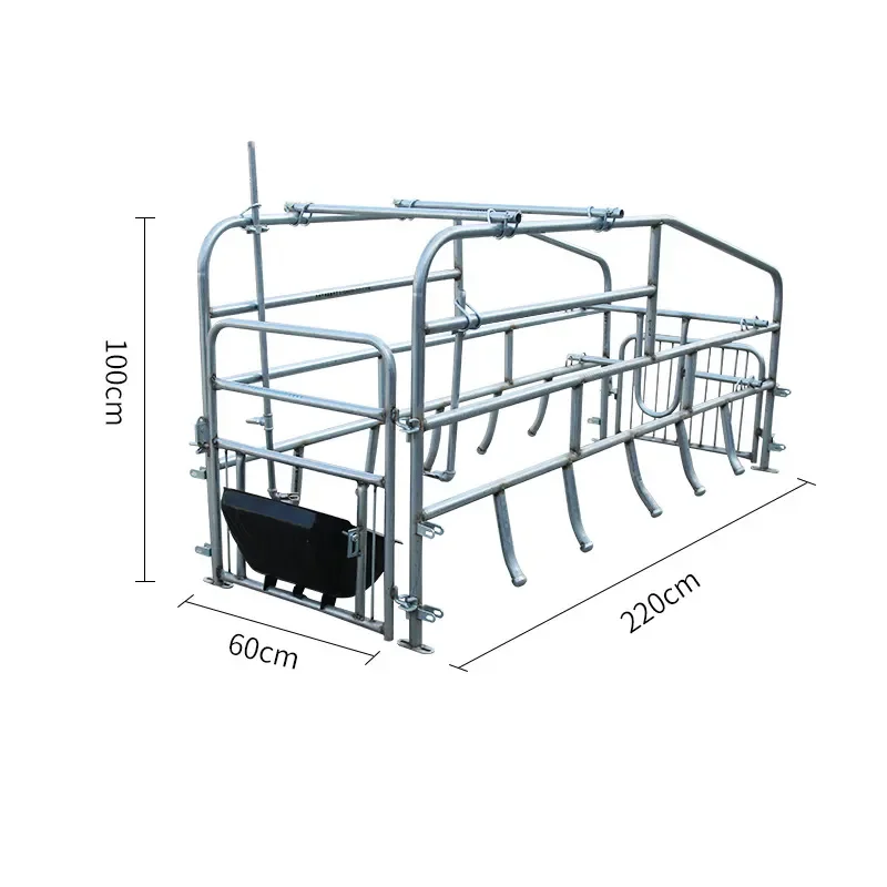 Pig Farrowing Crate - Efficient Sow Management Solutions