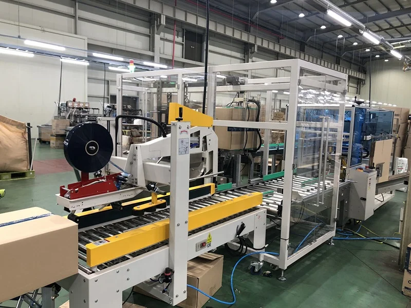 Full Automatic Case Filling Machine - Efficient & Reliable