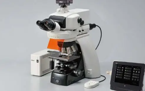 Nikon Upright Biological Microscope Eclipse Ni-e/ni-u - Buy Eclipse Ni-e/ni-u,Upright Microscope ...