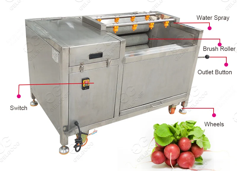 Automatic Beet Horseradish Washer - Efficient Radish Cleaning