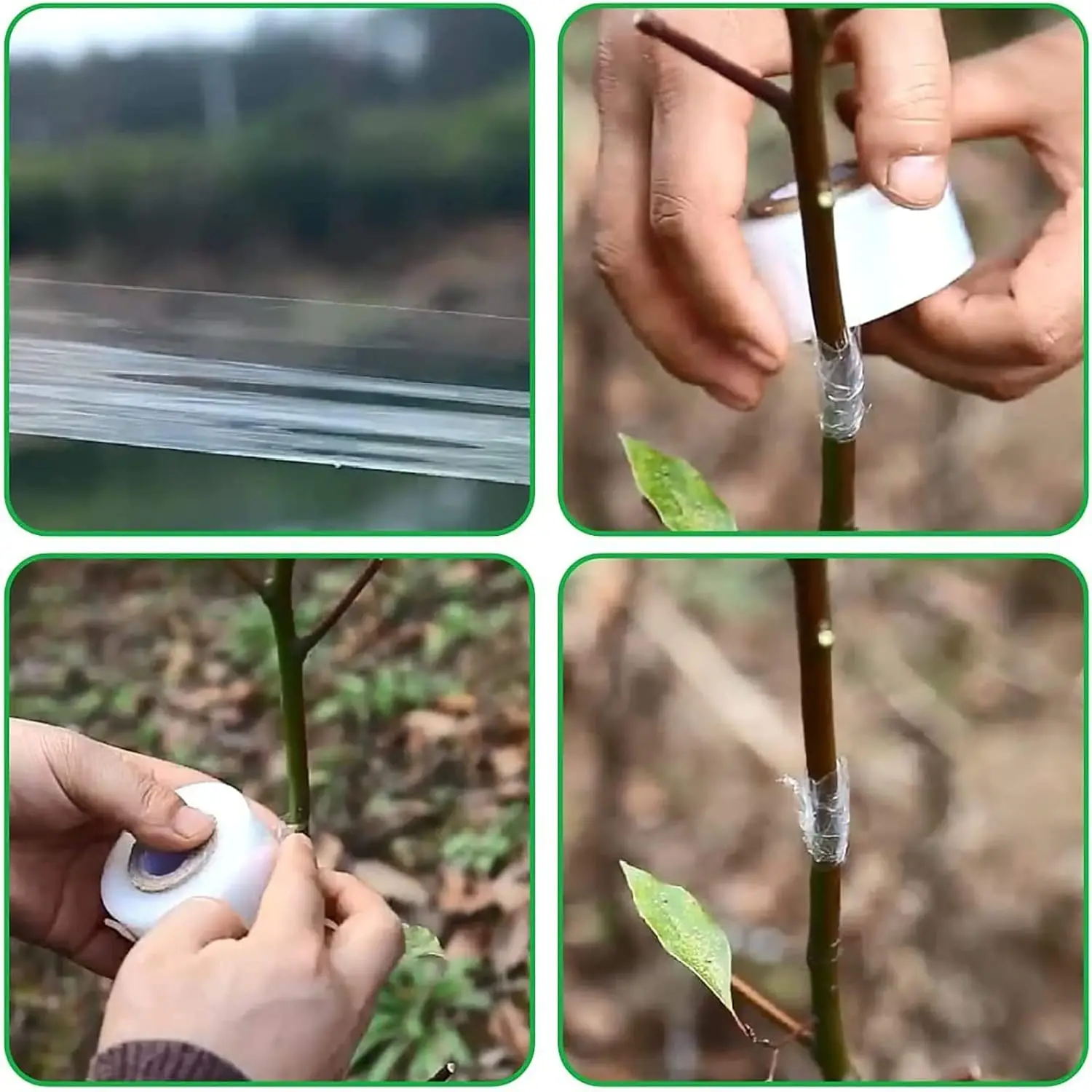 Parafilm Tape - Stretchable, Transparent Grafting Tape