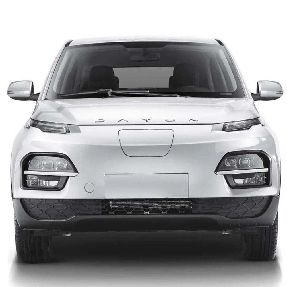 Dayun 225 Electric SUV - High-Speed 4-Seater (120km/h)