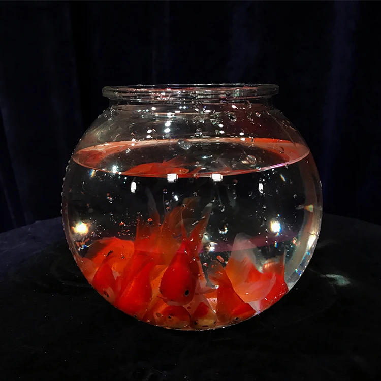 Classic Fish Appearing Gimmick Magic Goldfish Bowl - One Size, OEM ...