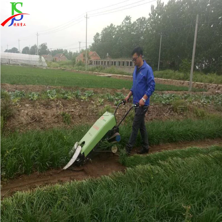 Electric Self Propelled Small Leek Harvester One People Operation ...