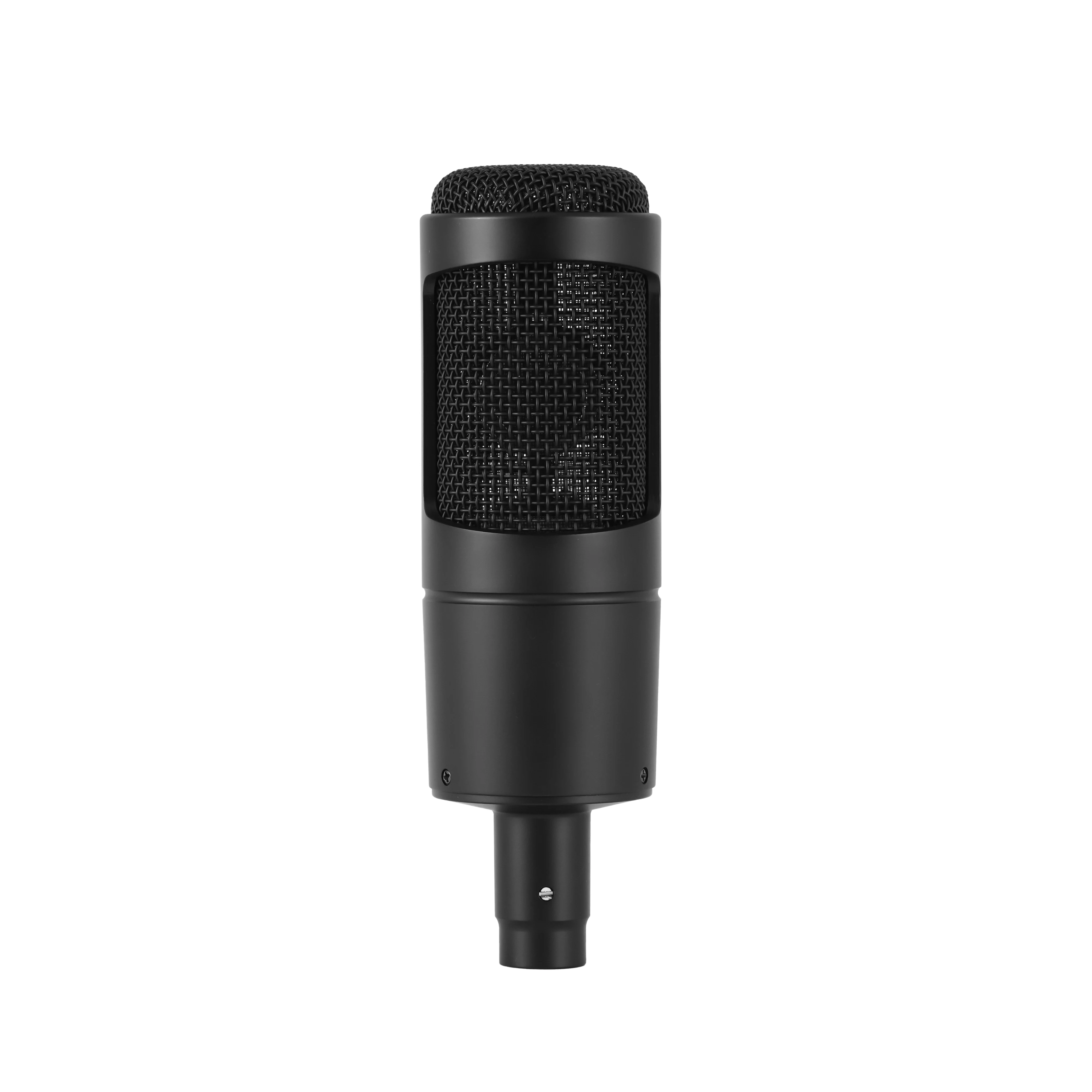 At2035 Studio Recording Equipment Professional Condenser Microphone ...