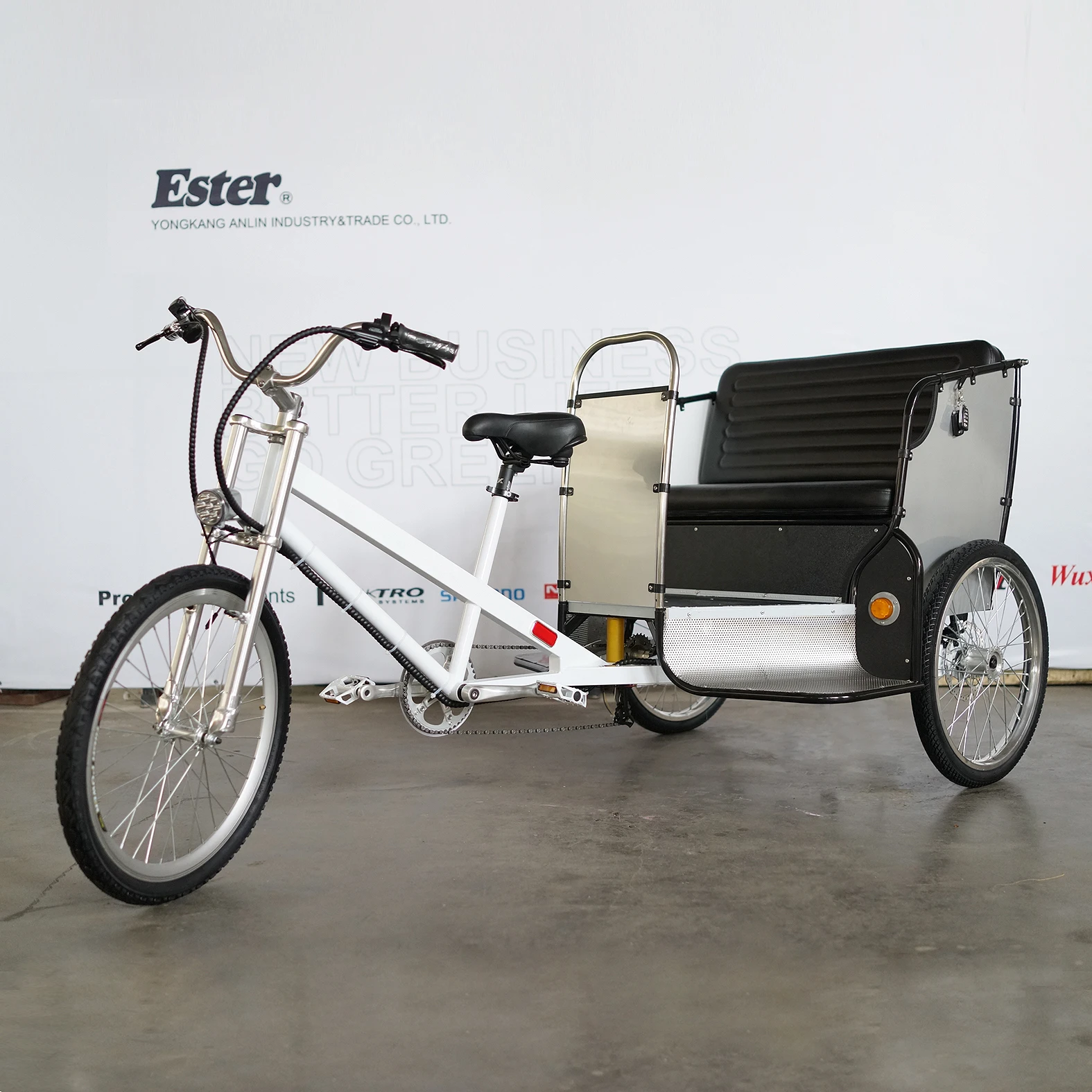 Eco Electric Pedicab with Brushless Motor - 350W/500W Power
