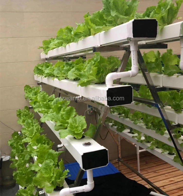 Hydroponics Equipment Vertical Nft Nutrient Solution Hydroponic Growing ...