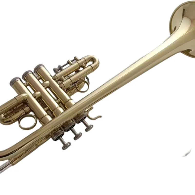 E/D Flat Trumpet for Adults Kids Professional Playing Brass Instrument ...