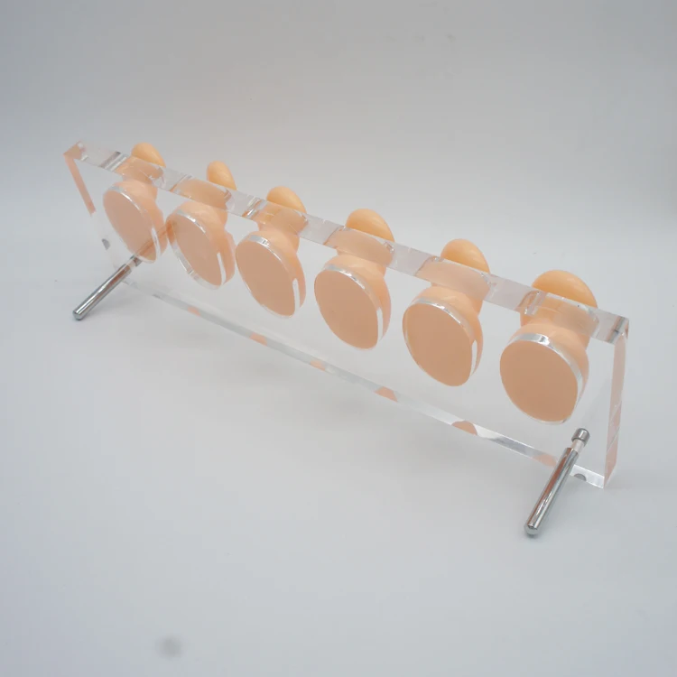 Hearing Aids Display Stand - Eco-Friendly Acrylic & Silicone