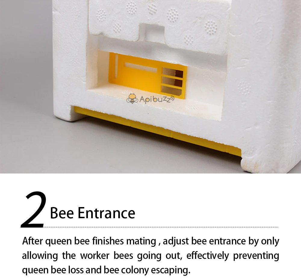 Queen Bee Mini Mating Nuc - Prevent Swarming & Split Colonies