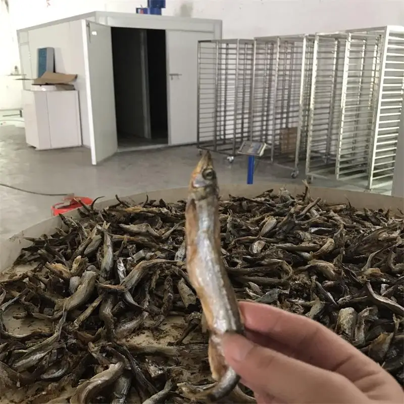 60% Energy Saving Dehydrator - Efficient Fish Drying