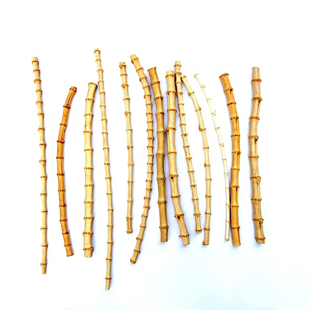Wholesale Bamboo Root Canes - Natural Rhizome Products