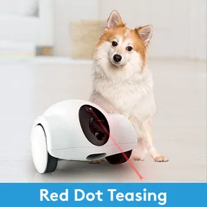 New Pet Toys Webcam Robot Full Hd 1080p Smart Pet Toys Robot With Dog ...