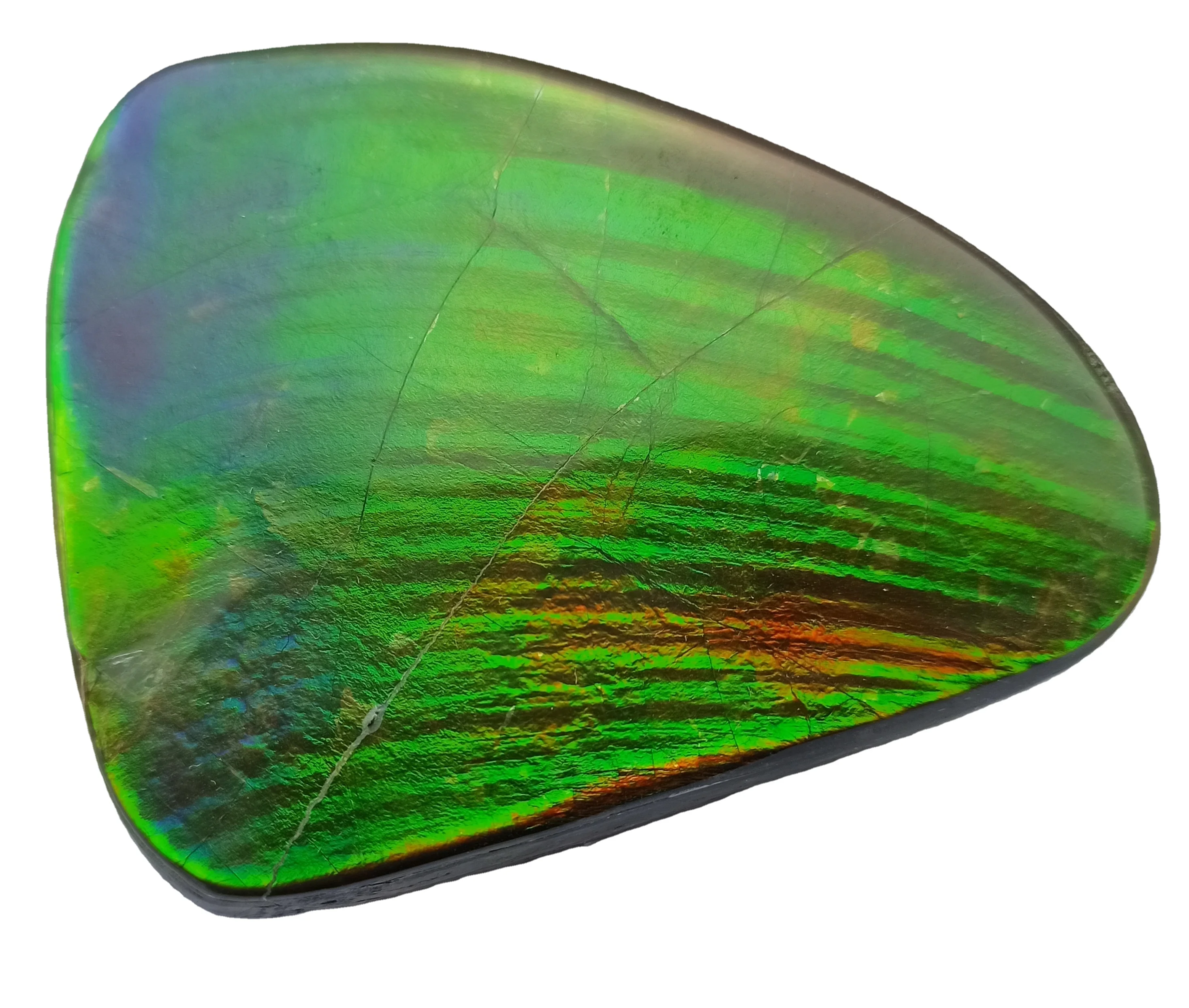 Ammolite Price Guide: How to Evaluate Real Value