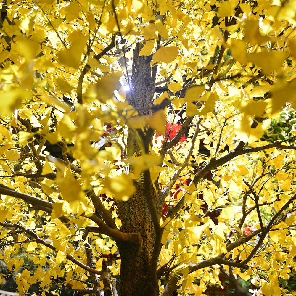 Customized Artificial Gingko Tree With Different Color Indoor ...