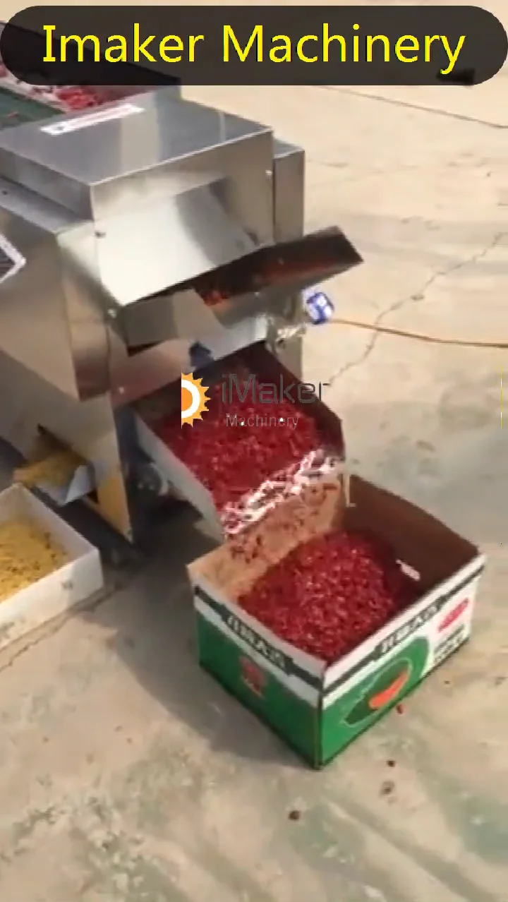 Hot Chilli Pepper Seed Remove Extractor Separating Machine Price - Buy ...