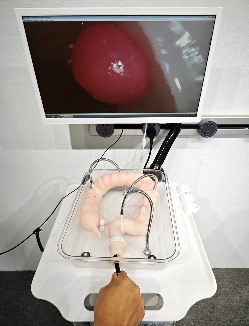 Soft Realistic Colonoscopy Training Model for Medical Education - ODM